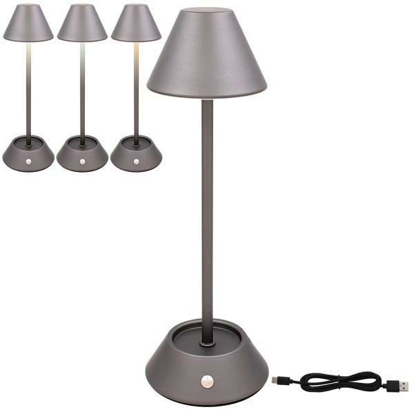 LED LIGHTS & GIFTS : Lesser & Pavey