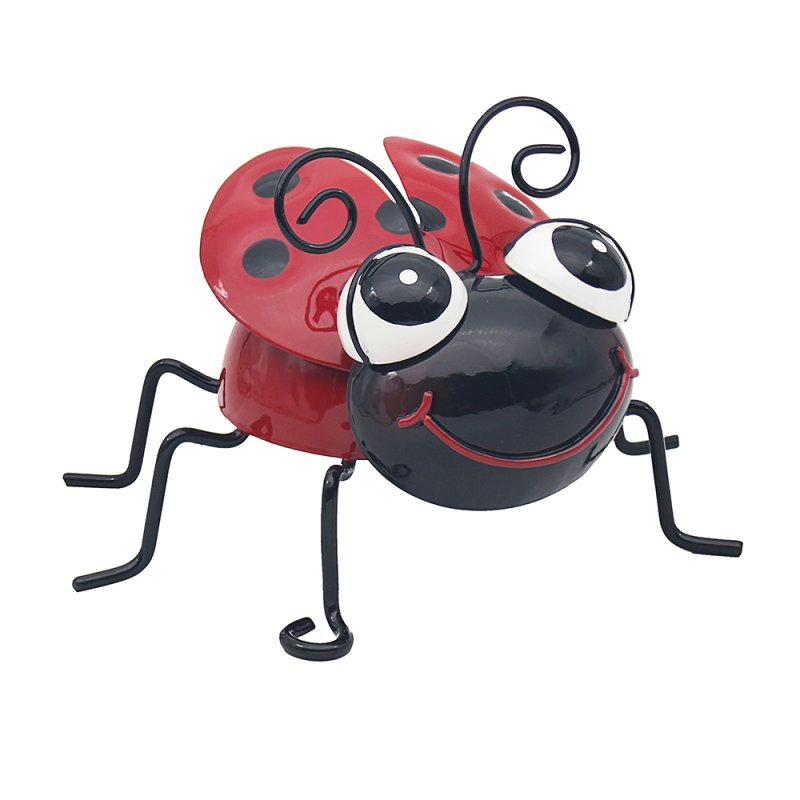 Bright Eyes Ladybird Lesser And Pavey
