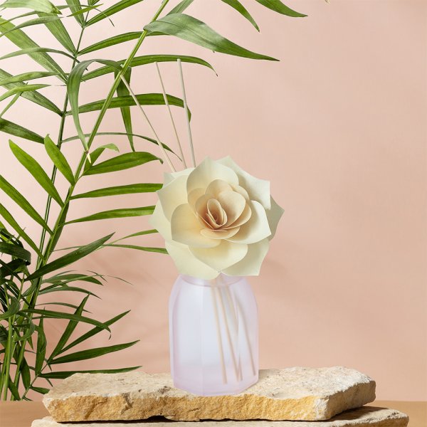 DIFFUSERS : Lesser & Pavey