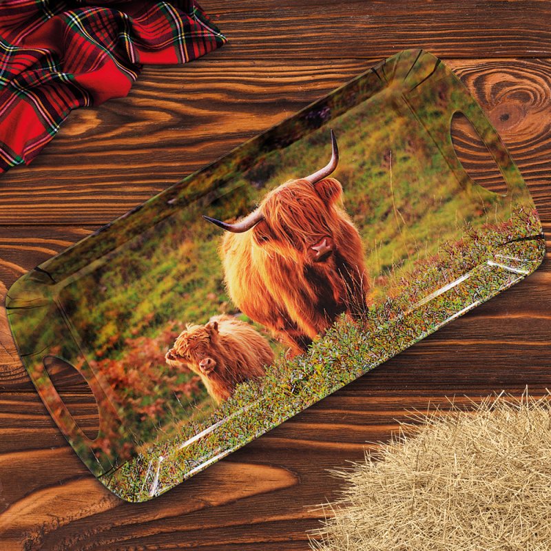 COW & CALF TRAY MED : Lesser & Pavey