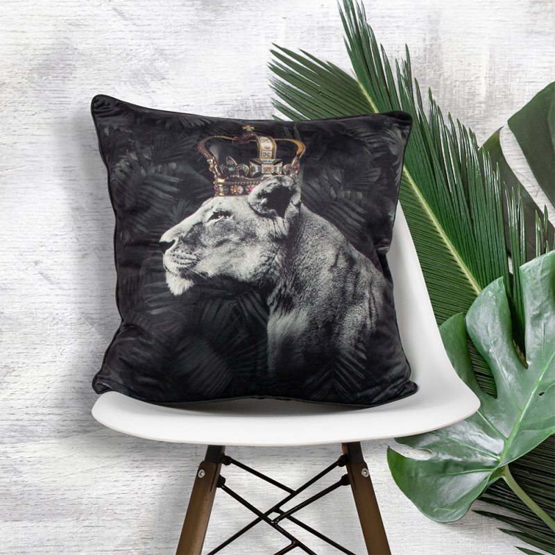 About : Lesser & Pavey