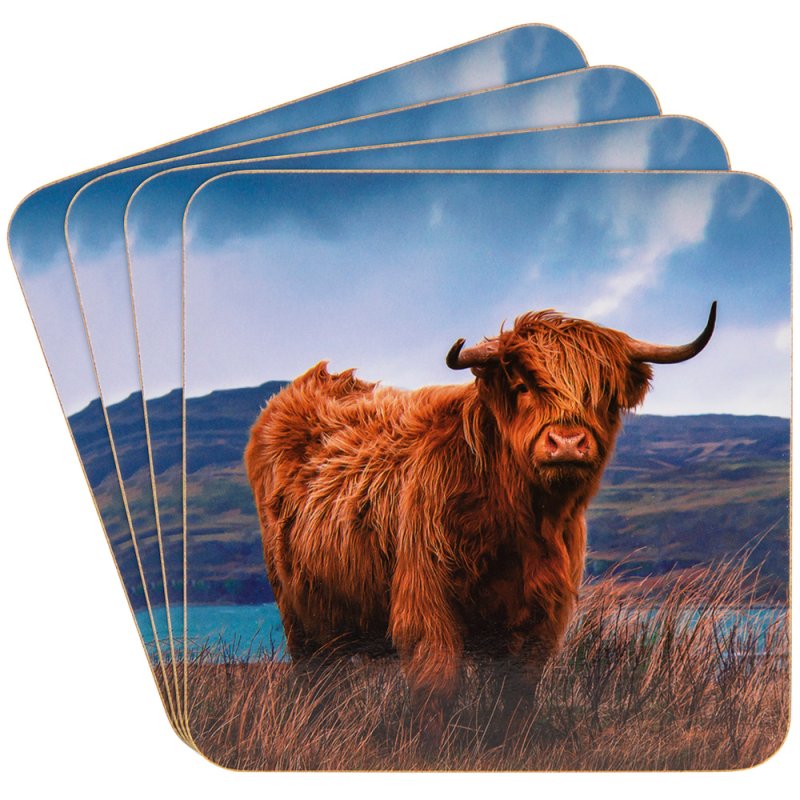HIGHLAND COW COASTERS SET OF 4 : Lesser & Pavey