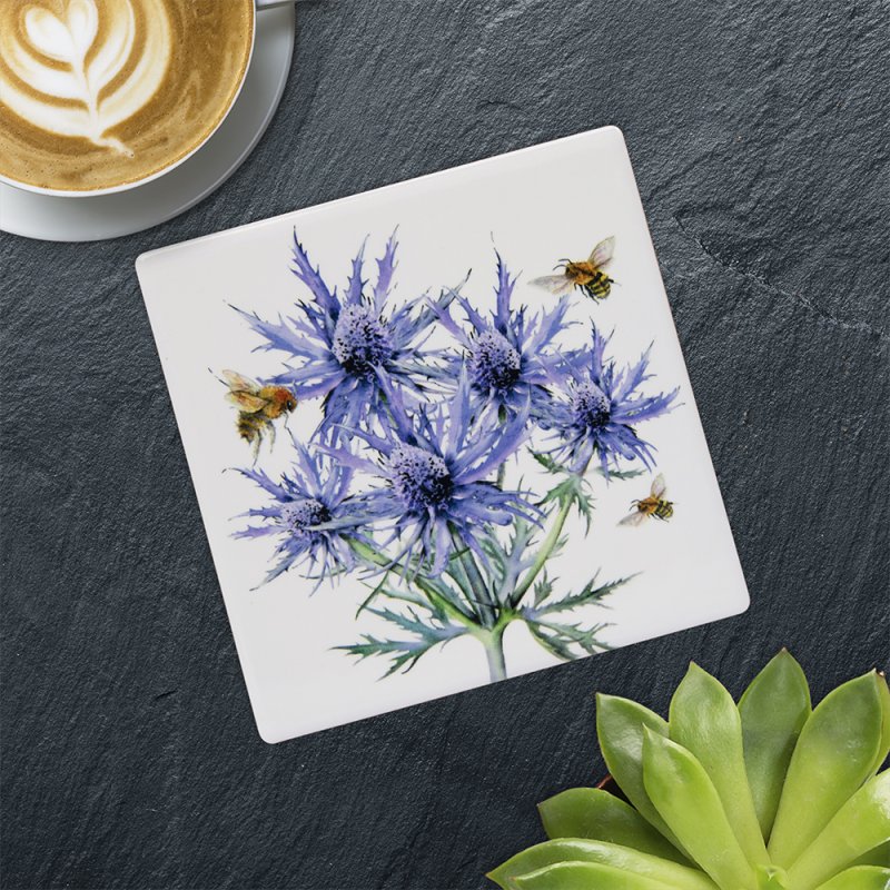 BEE-TANICAL COASTER THISTLE : Lesser & Pavey