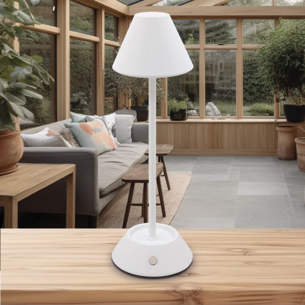 LAMPS LEDS & LIGHTING : Lesser & Pavey