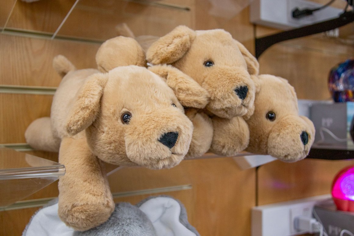 About : Lesser & Pavey