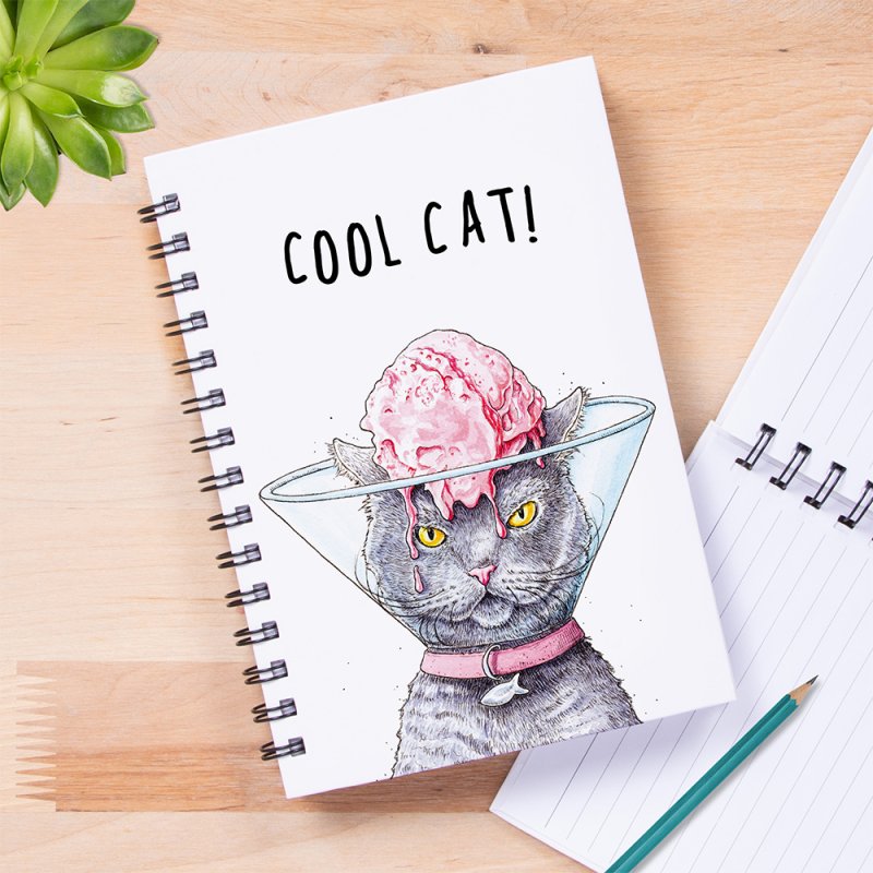 COOL CAT A5 NOTEBOOK : Lesser & Pavey