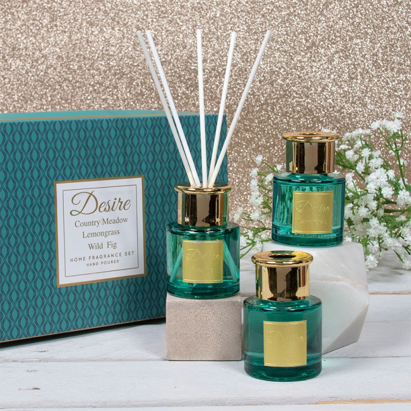 DESIRE DIFFUSER SET TEAL : Lesser & Pavey